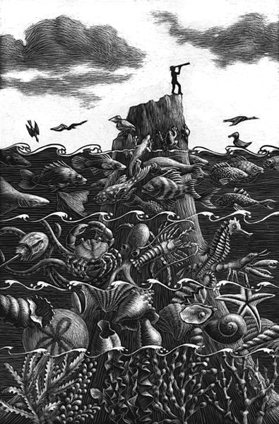 Why Fish Don't Exist, by Lulu Miller; illustrated by Kate Samworth ...