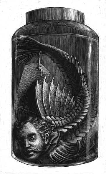 Drawing from Nature Part A with Kate Samworth (online)