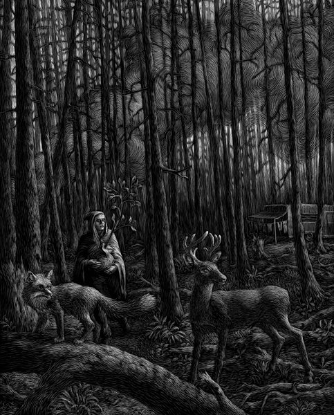 From the Beginning – Kate Samworth