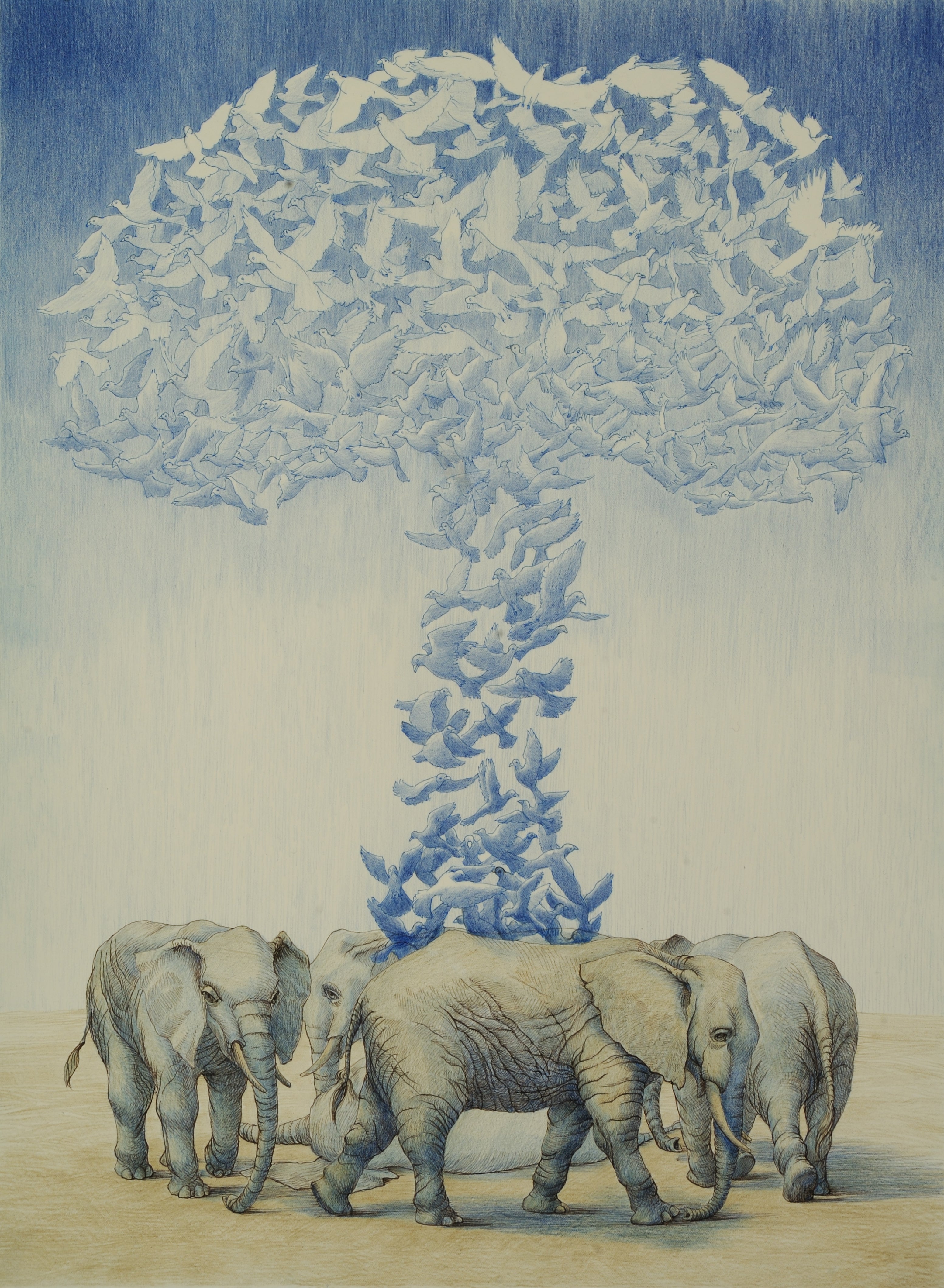 Explosion of Peace – Kate Samworth